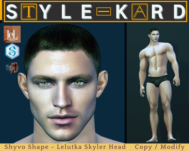Second Life Marketplace - [STYLE-KARD] Shyvo Shape - Lelutka Skyler
